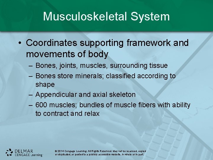 Chapter 30 Examinations and Procedures of Body Systems
