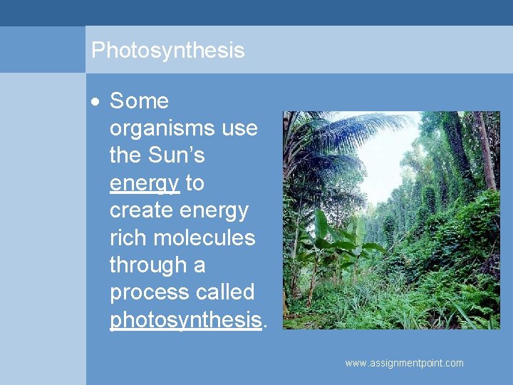 Interactions of Life www assignmentpoint com Objectives Describe