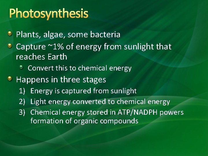 Photosynthesis Objectives Summarize how energy is captured from