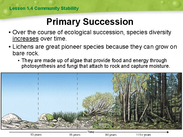 Lesson 5 4 Community Stability A 2010 report