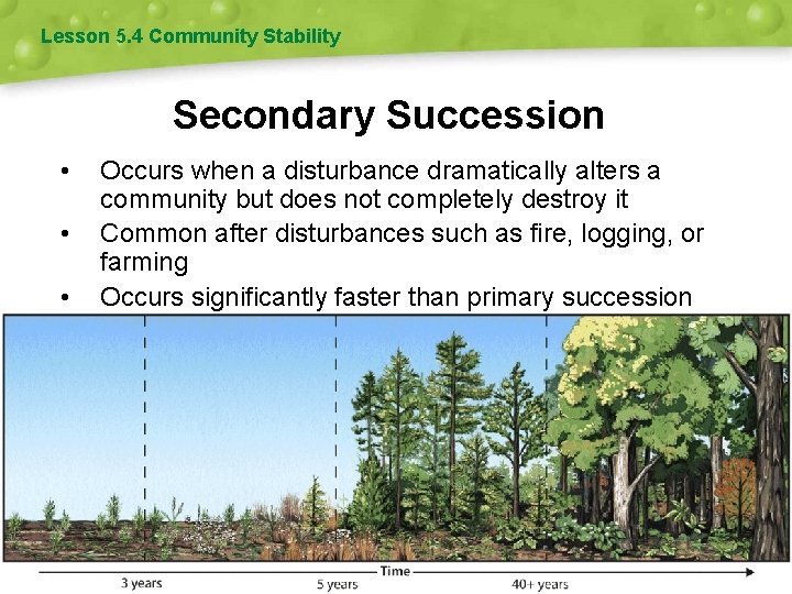 Lesson 5 4 Community Stability A 2010 report