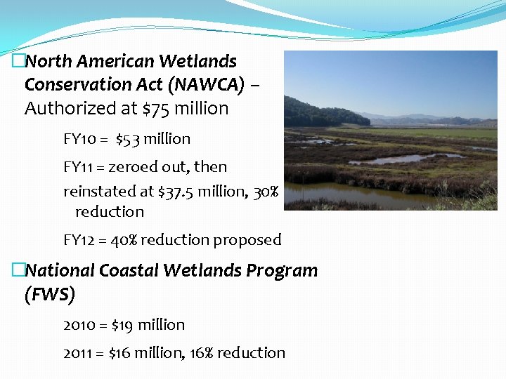 Habitat Protection and Restoration in the San Francisco