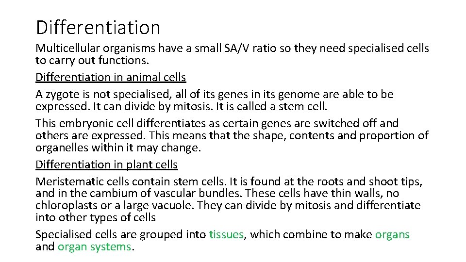 Foundations in Biology Block 1 B Cell division