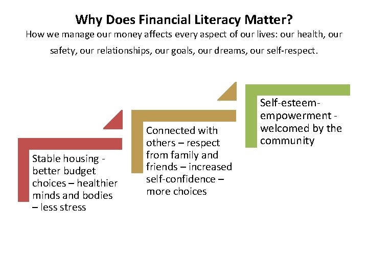 THE FINANCIAL LITERACY PROJECT BY Who funds this