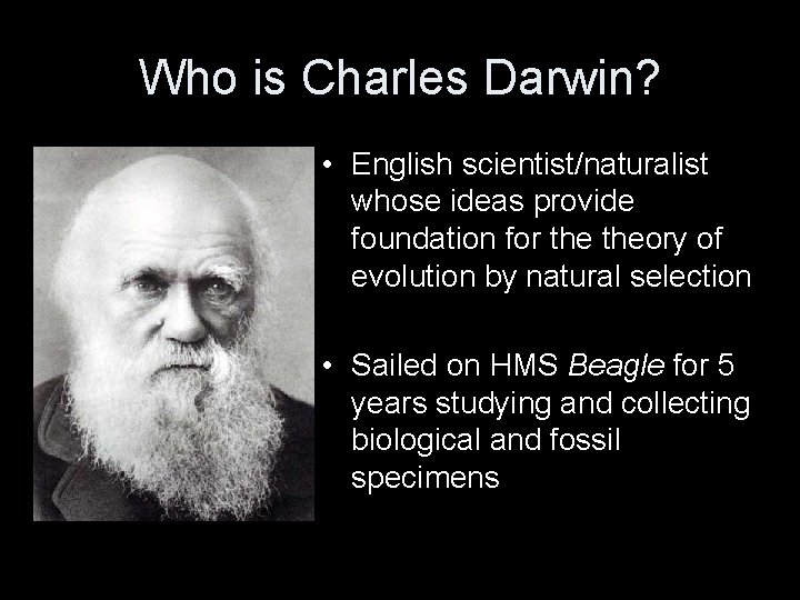 Natural Selection and the Evidence of Evolution Foldable