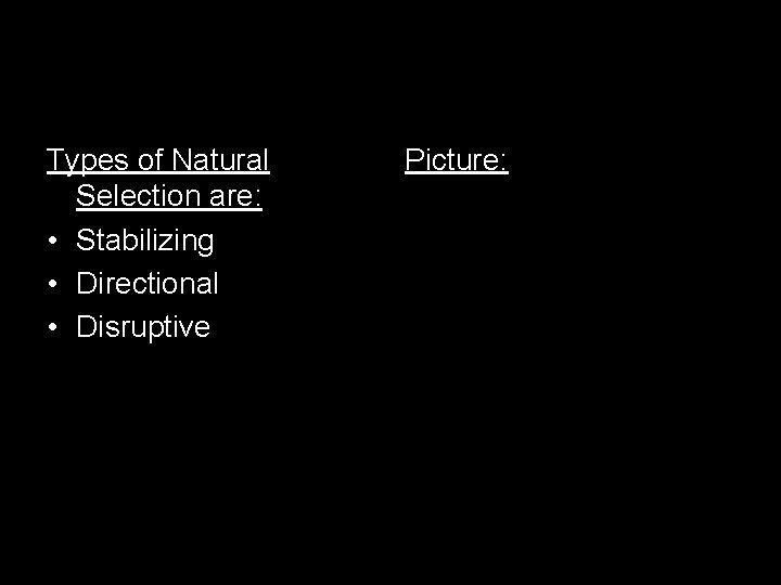 Natural Selection and the Evidence of Evolution Foldable