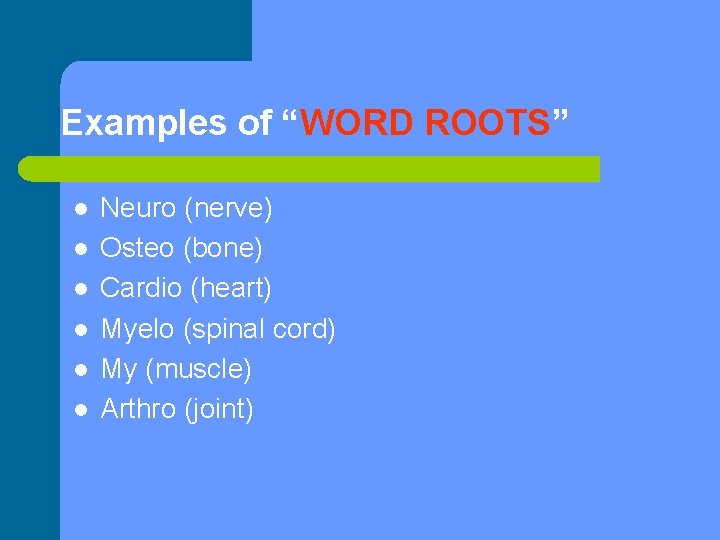 Medical Terminology OBJECTIVES l Define prefixes suffixes and