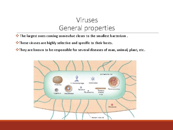 140 MIC Microbiology Lecture16 Viruses MBI 140 panel