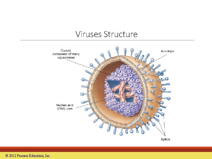 140 MIC Microbiology Lecture16 Viruses MBI 140 panel