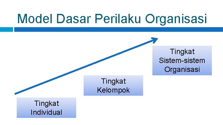 MODEL PERILAKU ORGANISASI Reference Organizational Behavior 12 th
