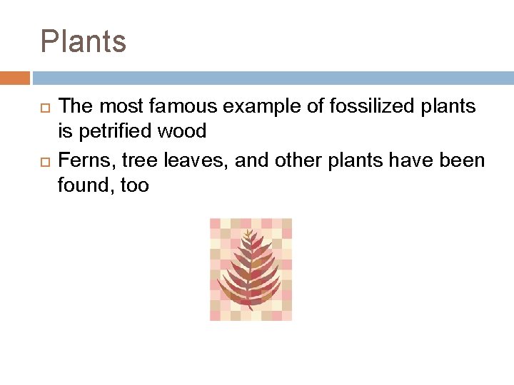 FOSSILS Traces of the past What happened before