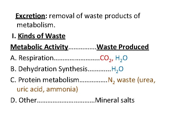 Excretory System VID The removal of metabolic wastes