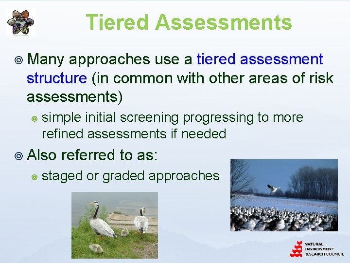 Course outline Brenda Howard CEH Centre for Ecology