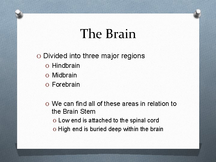 The Nervous System Brain and Endocrine System The