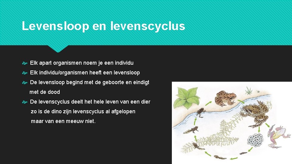 Biologie thema 1 basisstof 1 organismen wat is