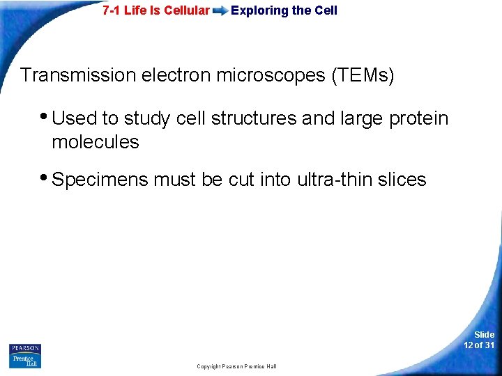 Biology Slide 1 of 31 Copyright Pearson Prentice