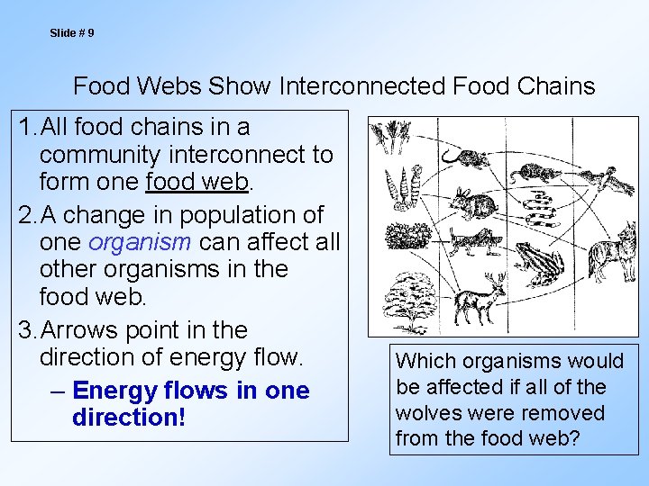 Energy Flow in Ecosystems The Biosphere Slide 2