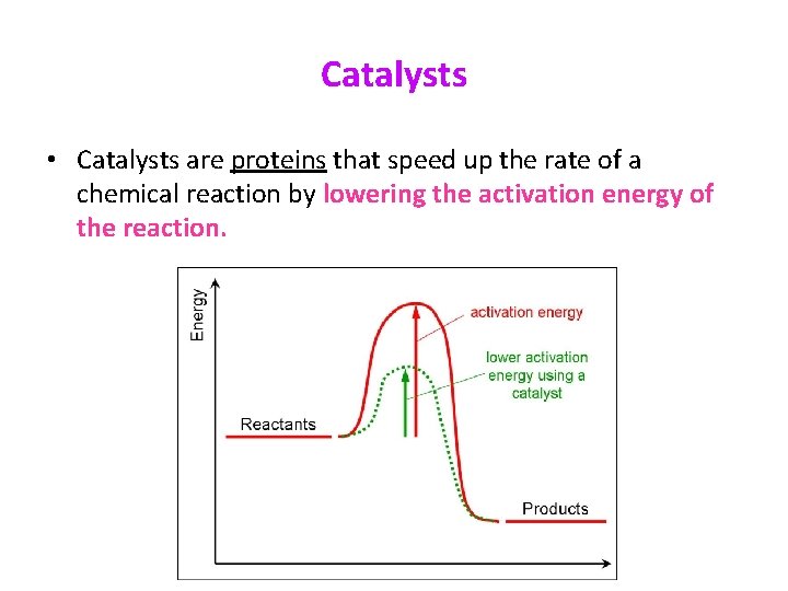 Chemical Reactions in Cells To keep your body