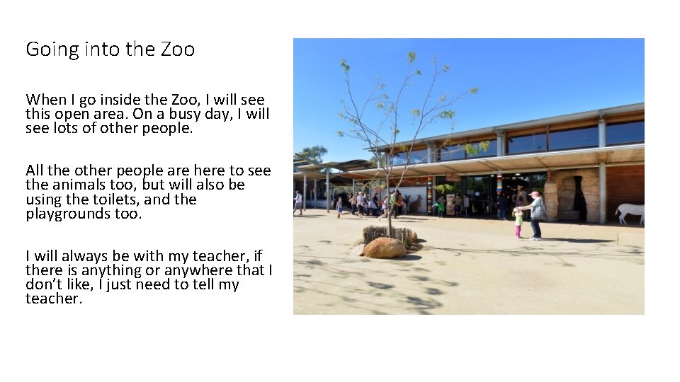 Autism Friendly Werribee Open Range Zoo Social Scripts