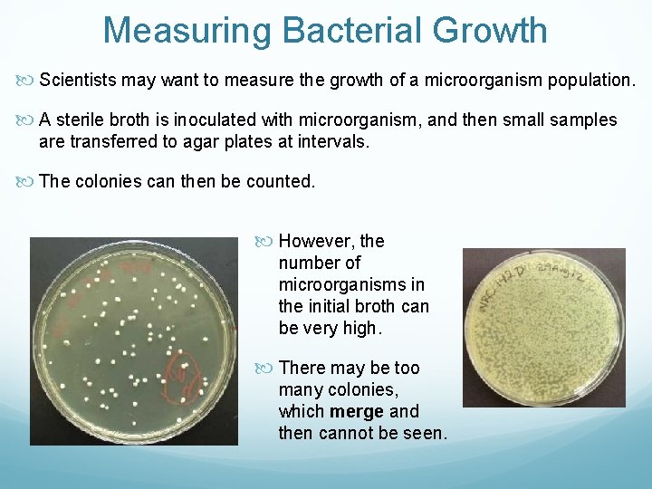 Microorganisms Biotechnology Unit 2 Module 2 Biotechnology and