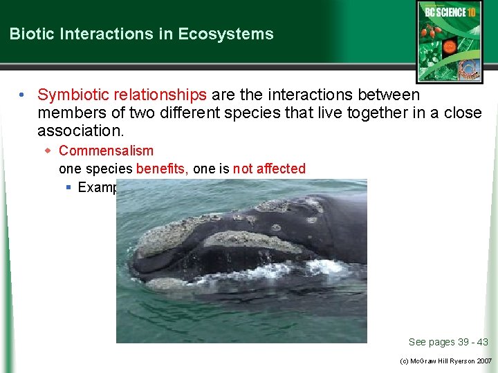 1 2 Ecosystems Each biome is divided into