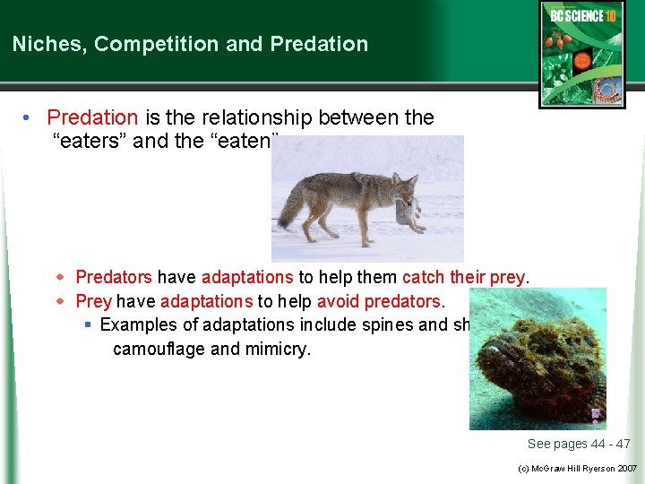 1 2 Ecosystems Each biome is divided into