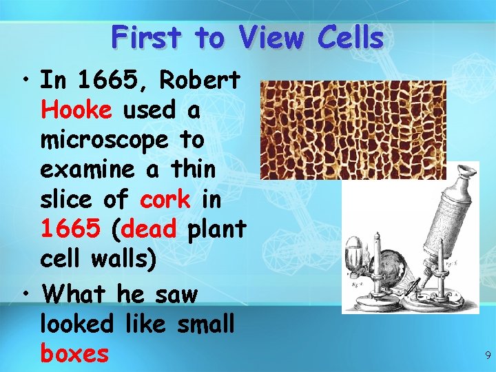 Basic Structure of a Cell 1 Review Facts
