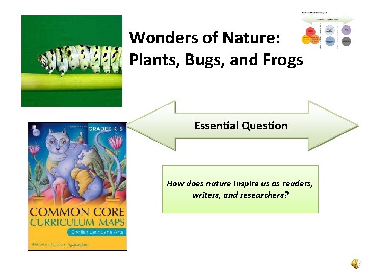 Wonders of Nature Plants Bugs and Frogs Kindergarten