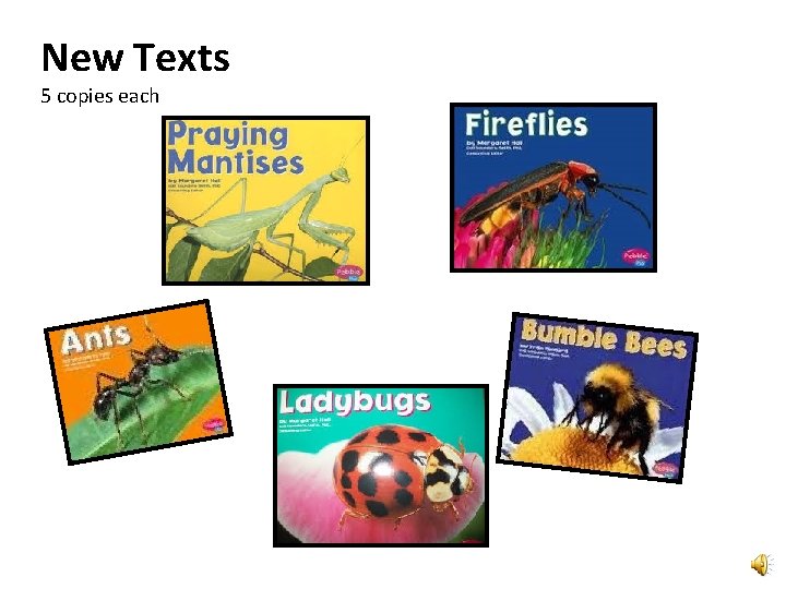 Wonders of Nature Plants Bugs and Frogs Kindergarten