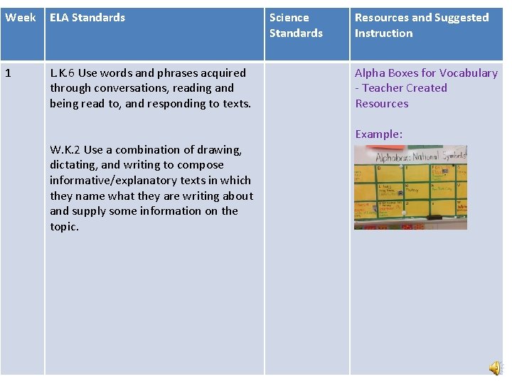 Wonders of Nature Plants Bugs and Frogs Kindergarten