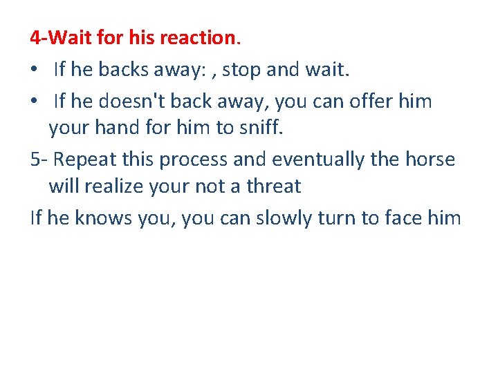 How to Approach your Horse 1 TIP Remember