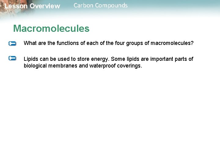 Lesson Overview Carbon Compounds Lesson Overview 2 3