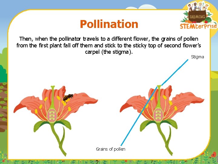Stage 2 Plant Reproduction Learning Objectives To understand