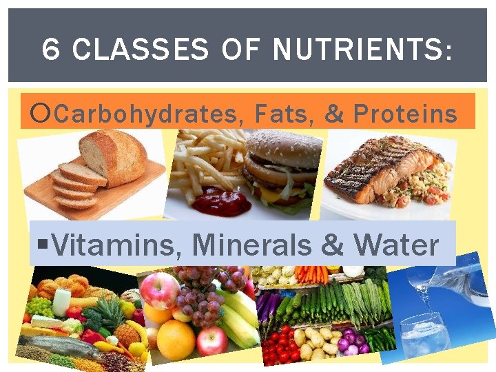 FOOD NUTRITION PART II Objectives q Students can
