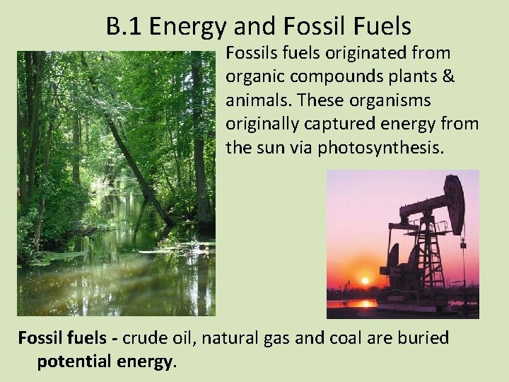 Unit 3 Sections B C D Petroleum An