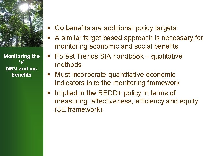 Putting people in the REDD picture Sustainability livelihoods