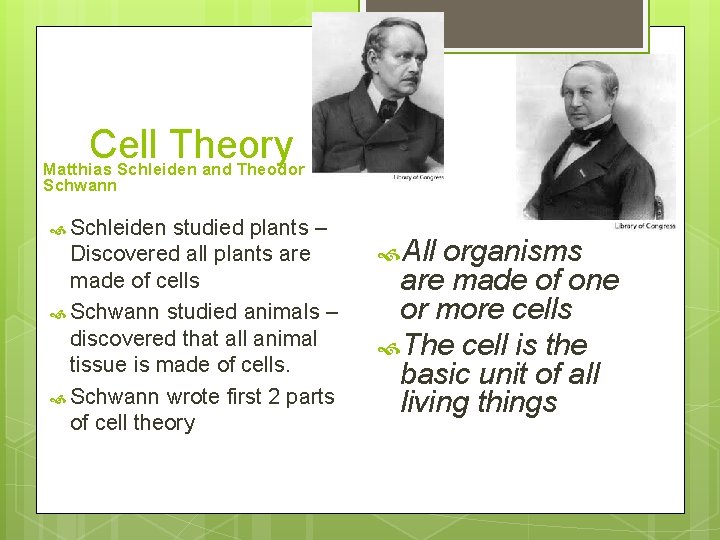 Cells The Basic Units of Life Cell Theory