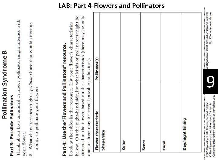 Plants Week 9 Booklet Living vs NonLiving Foss