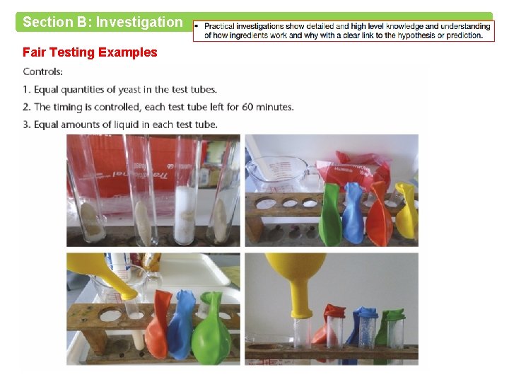 Learning Objectives SECTION B INVESTIGATION 15 Carry out
