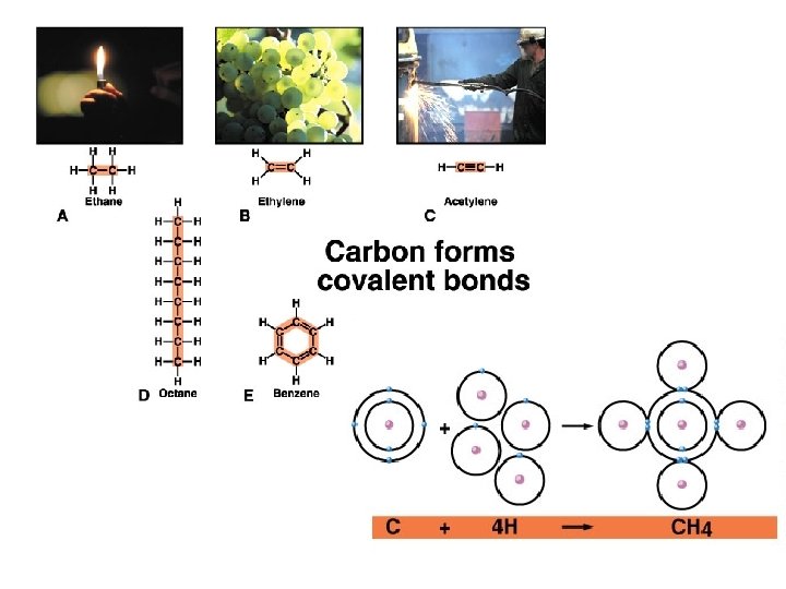 Macromolecules Building Complex Molecules That Comprise Living Things