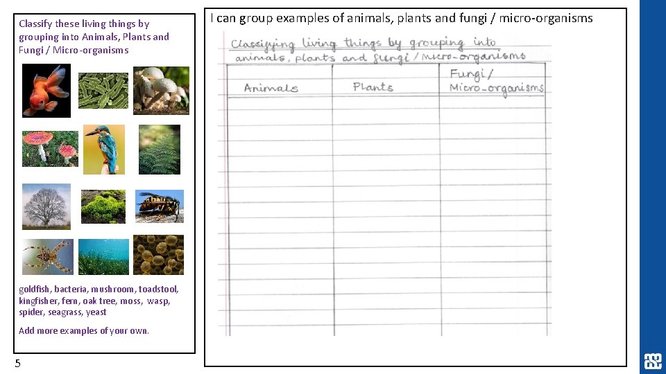 Living things and their habitats Classification of living