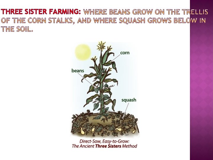 Chapter One The Nations Beginnings Prehistory1824 Clan extended