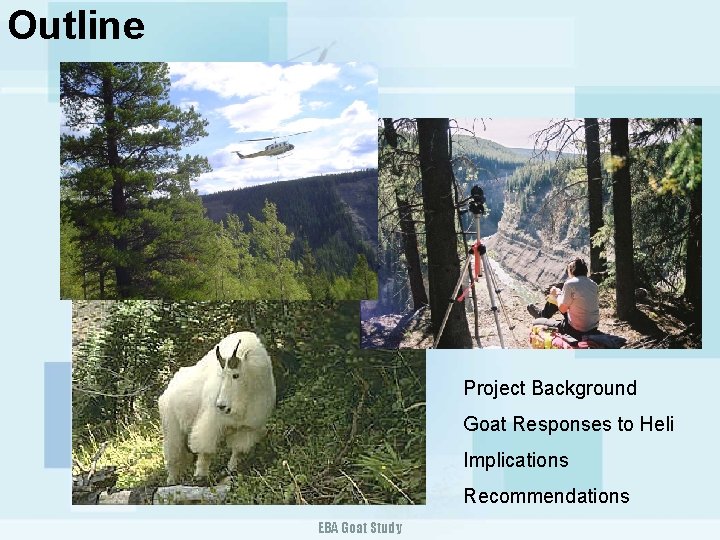 Mountain Goats and Helicopters Implications for Heliportable Geophysical