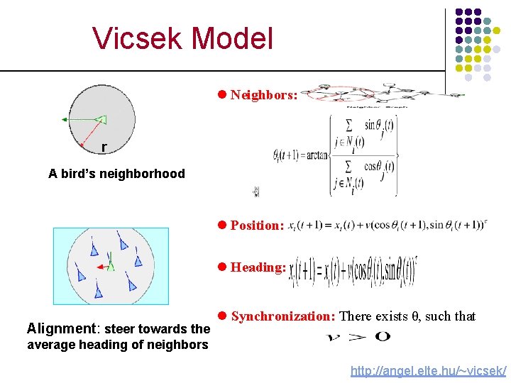 Lecture VI Collective Behavior of Multi Agent Systems