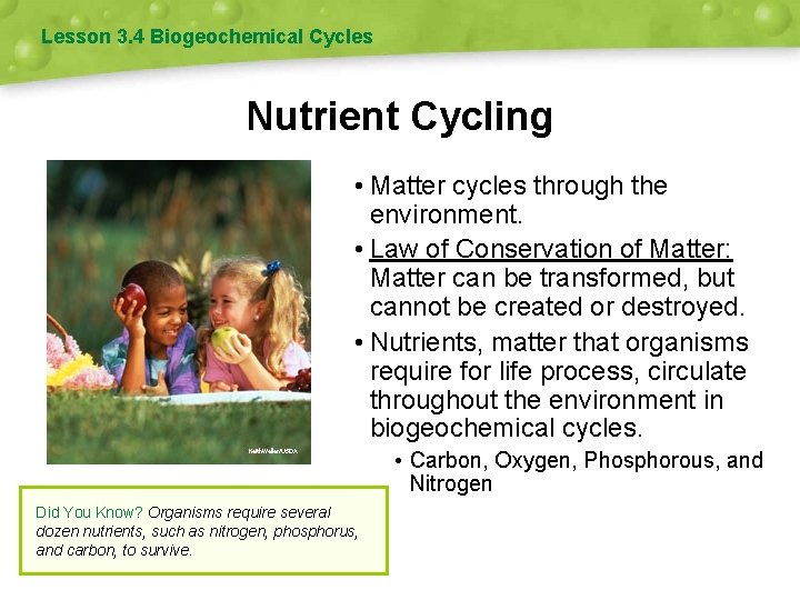 Lesson 3 4 Biogeochemical Cycles A carbon atom