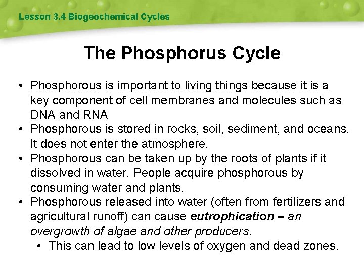 Lesson 3 4 Biogeochemical Cycles A carbon atom