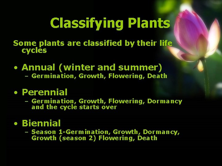 Plant Classification and Naming Botany November 20 2008