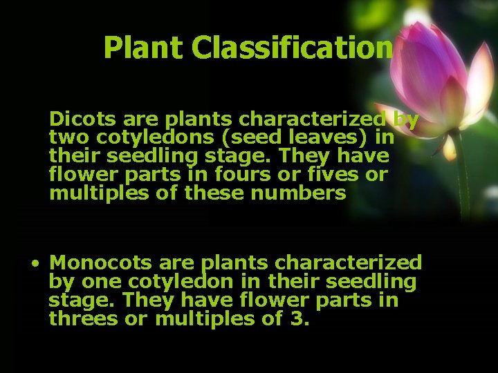 Plant Classification and Naming Botany November 20 2008
