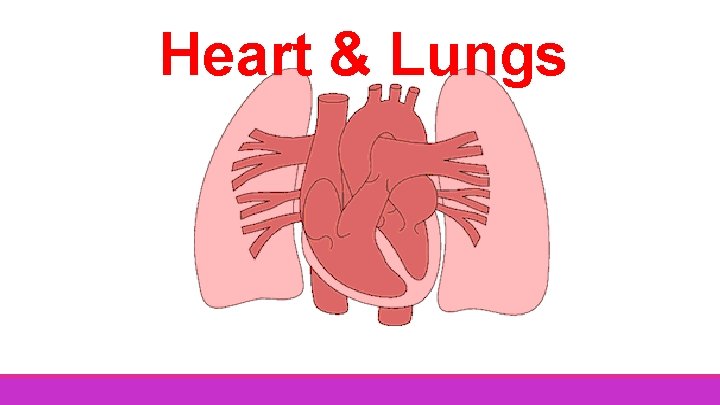 All About Me Body Systems Lets Learn About