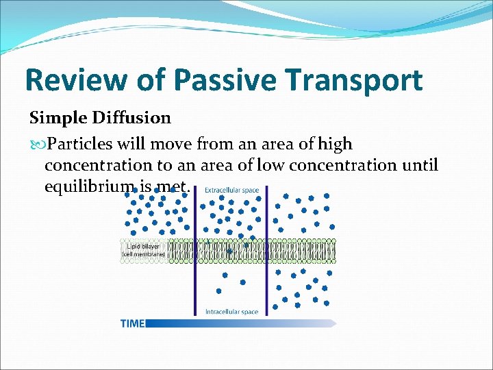 Passive Transport Potato lab Lesson 10 February 1